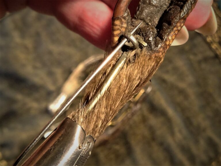 Grouse Claw Pins – Choosing the Right One – Kim's Curios